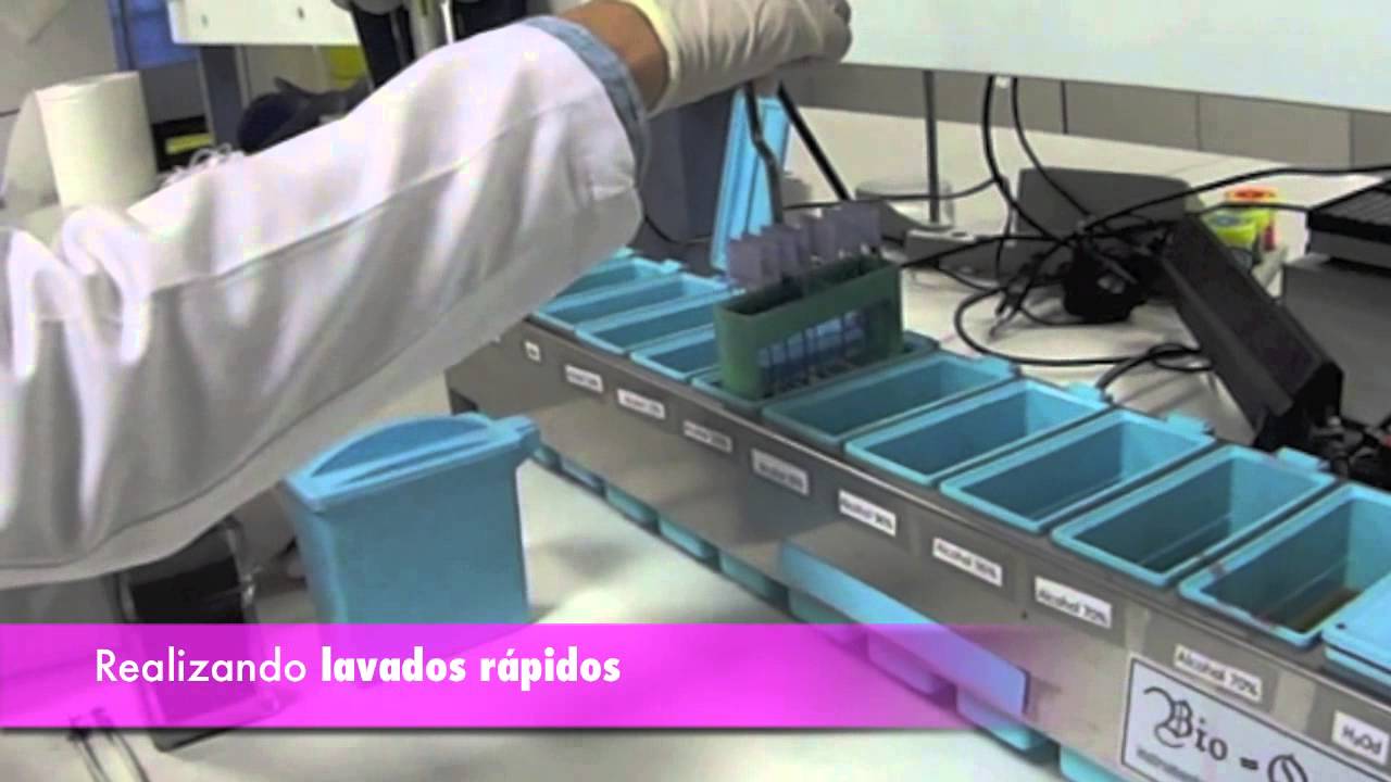 Tutorial tinción de Hematoxilina-Eosina - YouTube