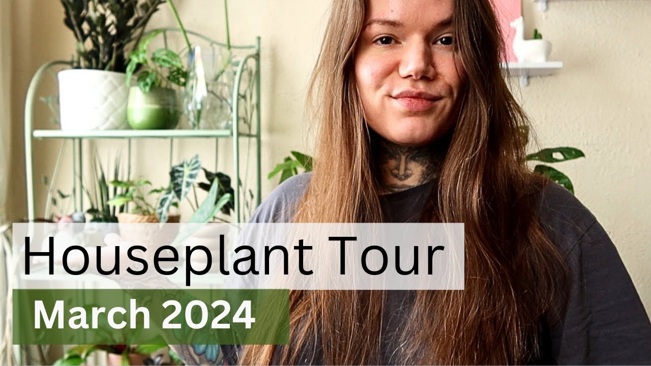 My UK HOUSEPLANT Collection TOUR March 2024 - YouTube