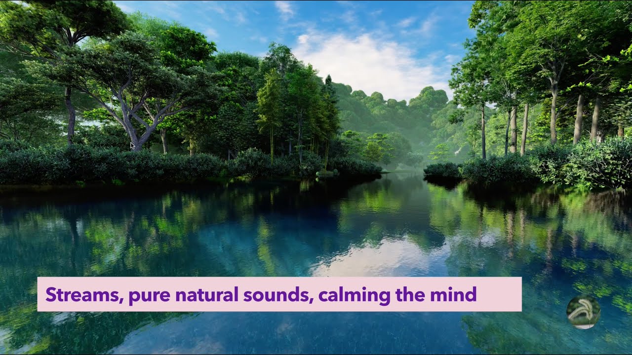 Streams, pure natural sounds, calming the mind 溪流 純大自然聲音 靜心養神 - YouTube