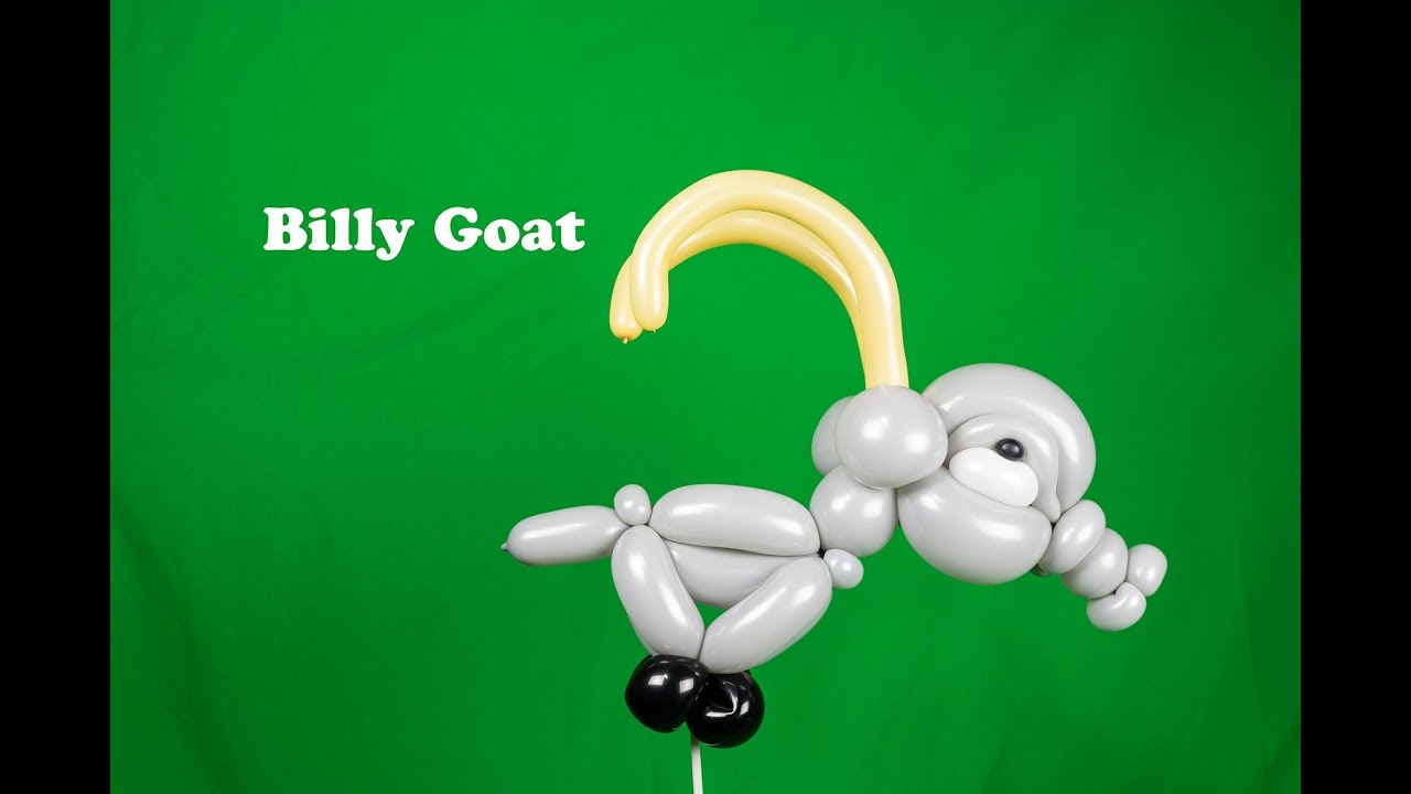 Learn how to make a Billy Goat balloon animal with Stretch - YouTube