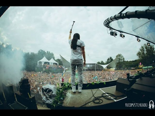 Steve Aoki Live Jump