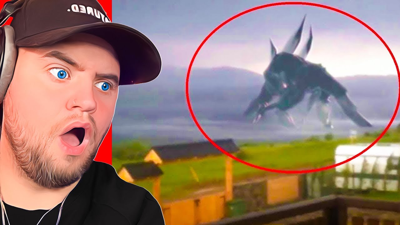 10 Giant Creatures Caught on Camera | Reaction - YouTube