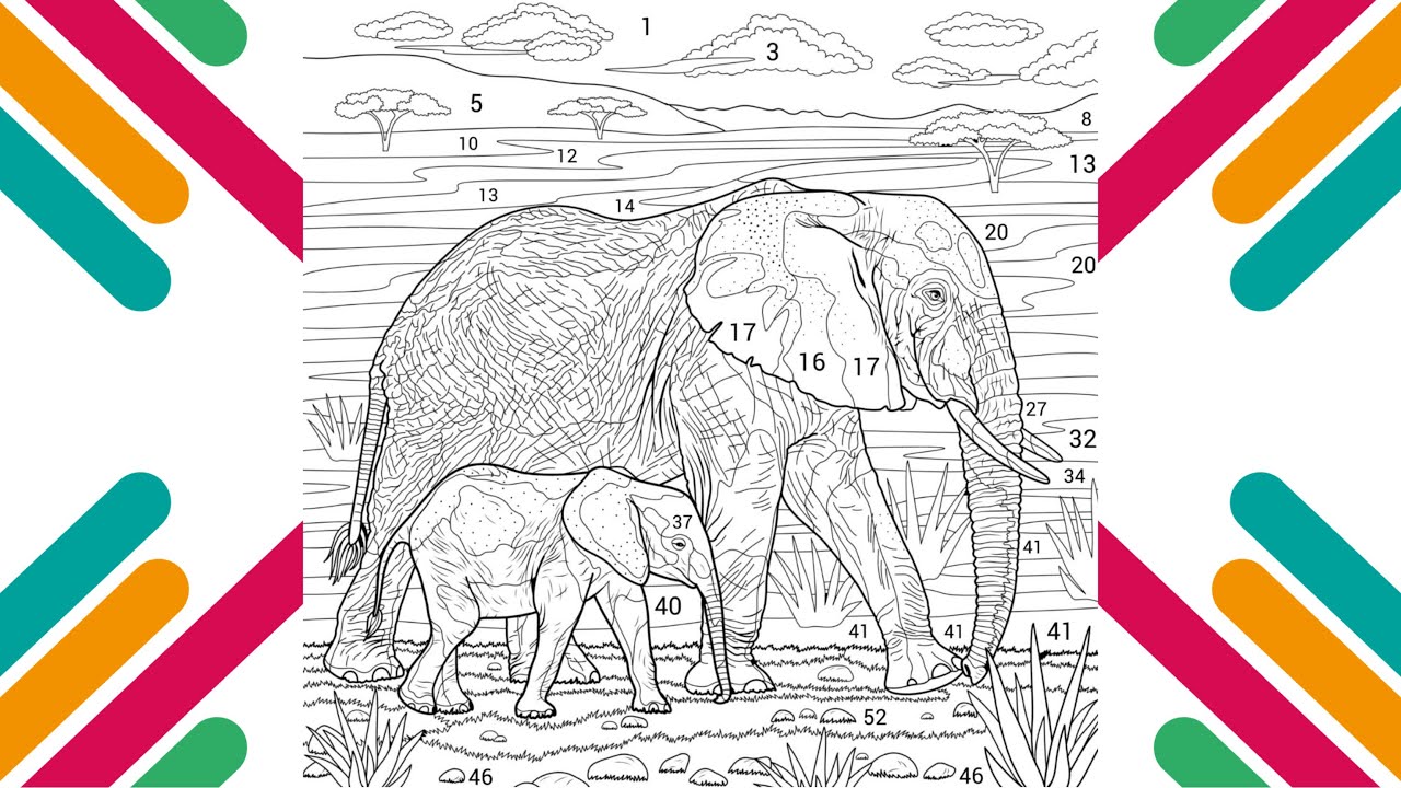 Mother Elephant with Baby Elephant. Coloring Page By Numbers - YouTube