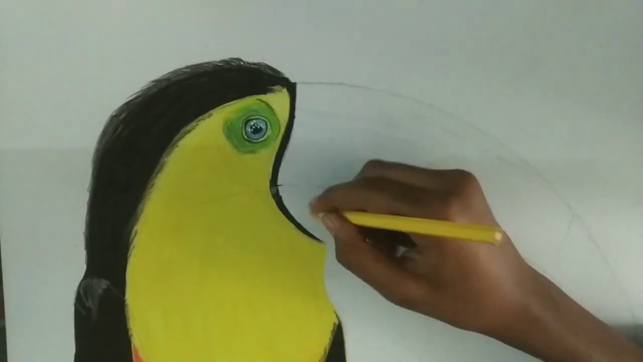 Taucon drawing timelapse - YouTube