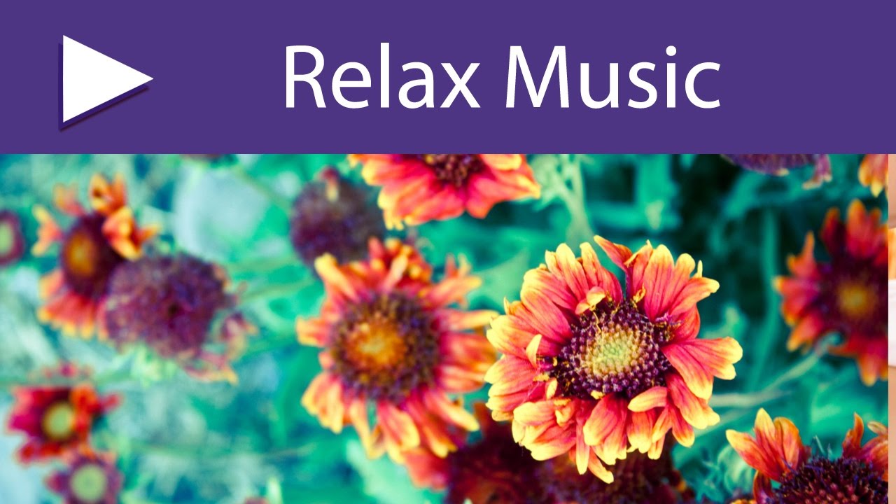 8 HOURS Soothing Relax Songs: Relaxing Sounds and Uplifting Songs ...