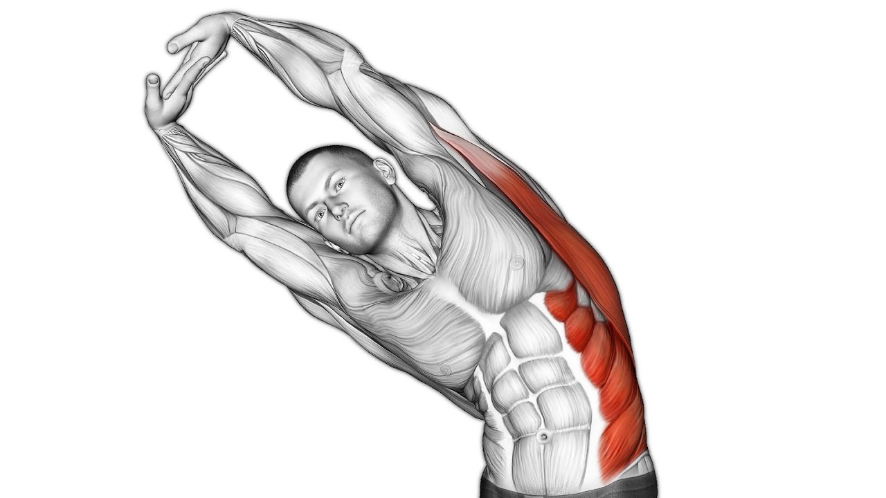 10 Best Ab Stretches for a Healthy, Strong, and Mobile Core - YouTube