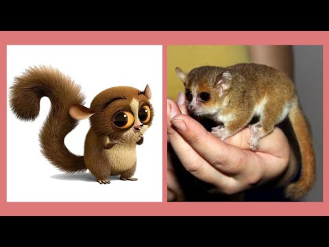 Madagascar In Real Life Characters In Real Life💥 👉@Wow cartoons! - YouTube