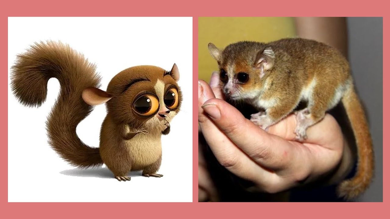 Madagascar In Real Life Characters In Real Life💥 👉@Wow cartoons! - YouTube