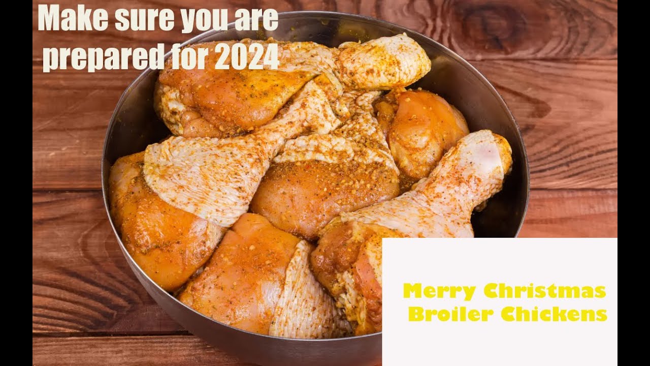 Our Christmas Broiler Chickens A Festive Farming Journey! - YouTube