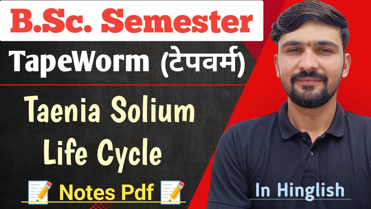 Taenia Solium Life Cycle | Tapeworm | Non Chordates | BSc Semester ...