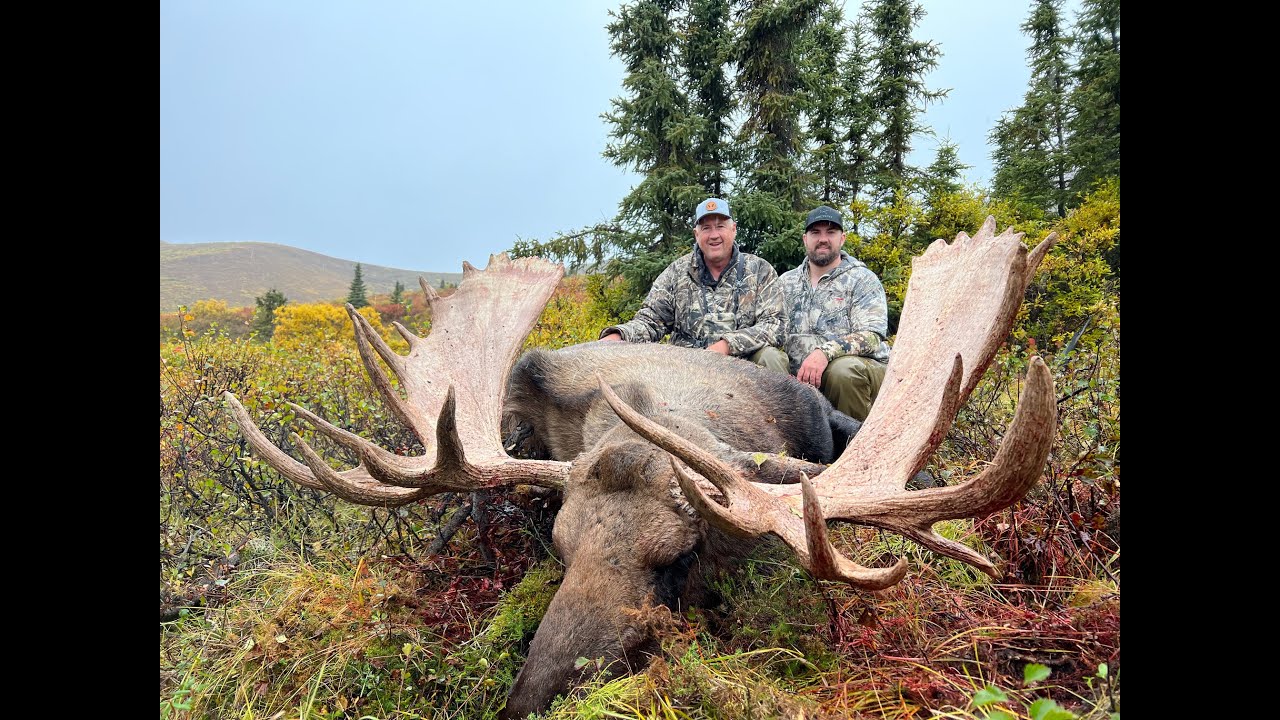 Jeff's Alaska Moose and Wolf Hunt 2022 - YouTube