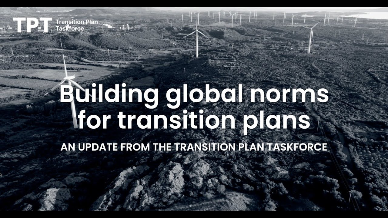 TPT - Building Global Norms for Transition Plans - YouTube