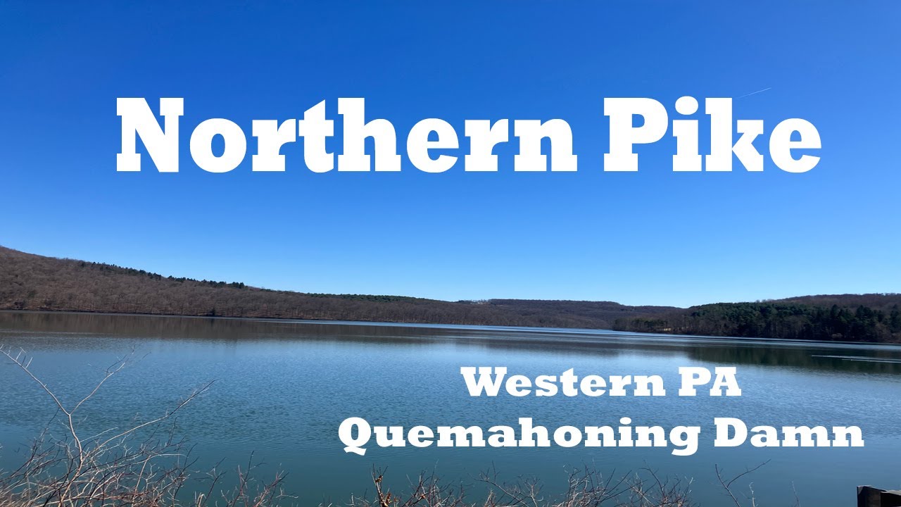 Northern Pike Fishing Western PA 2024 - YouTube