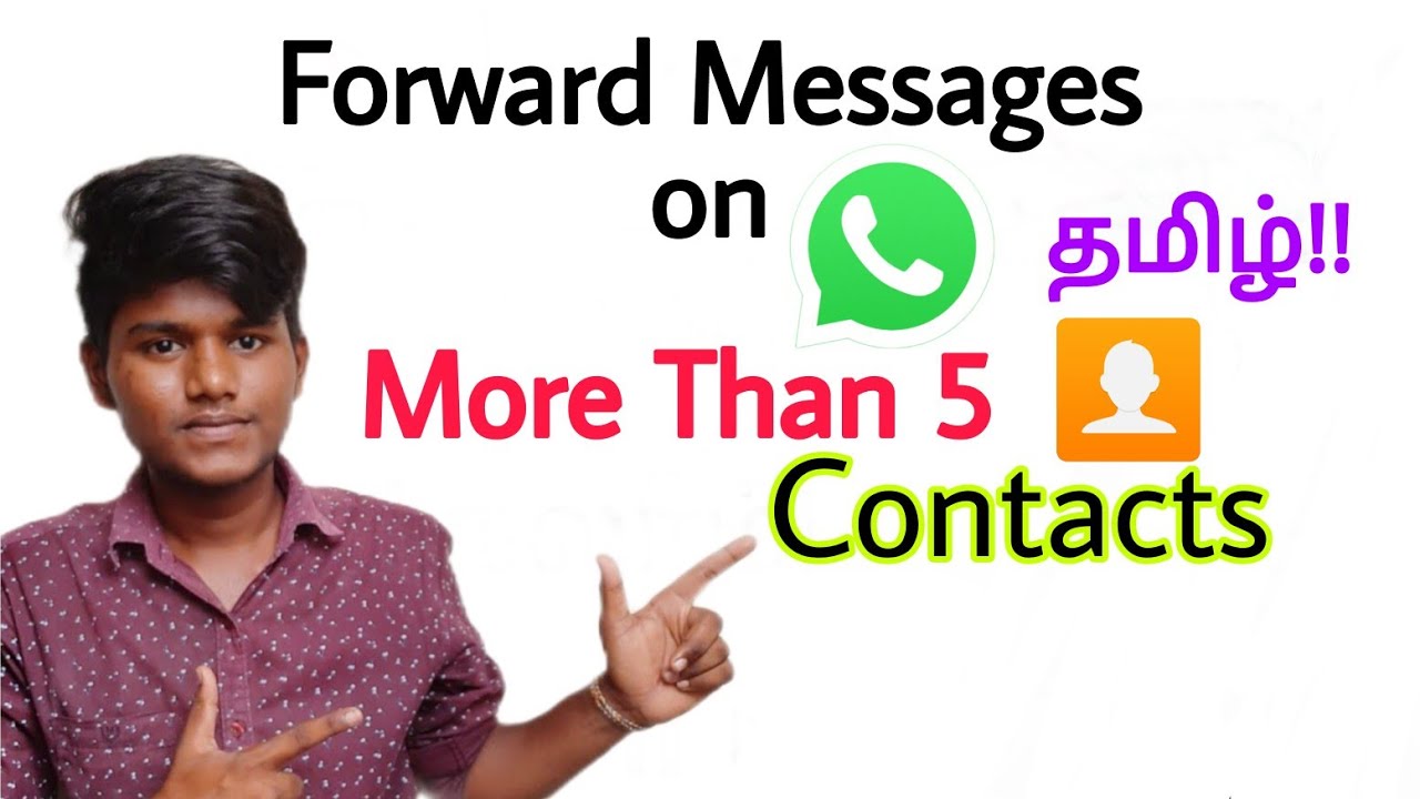 How To Forward Whatsapp Messages To More Than 5 Contacts In Tamil how-to-forward-whatsapp-messages-to-more-than-5-contacts-in-tamil