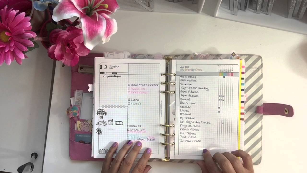 DIYFish Inserts- Habit Tracker - YouTube