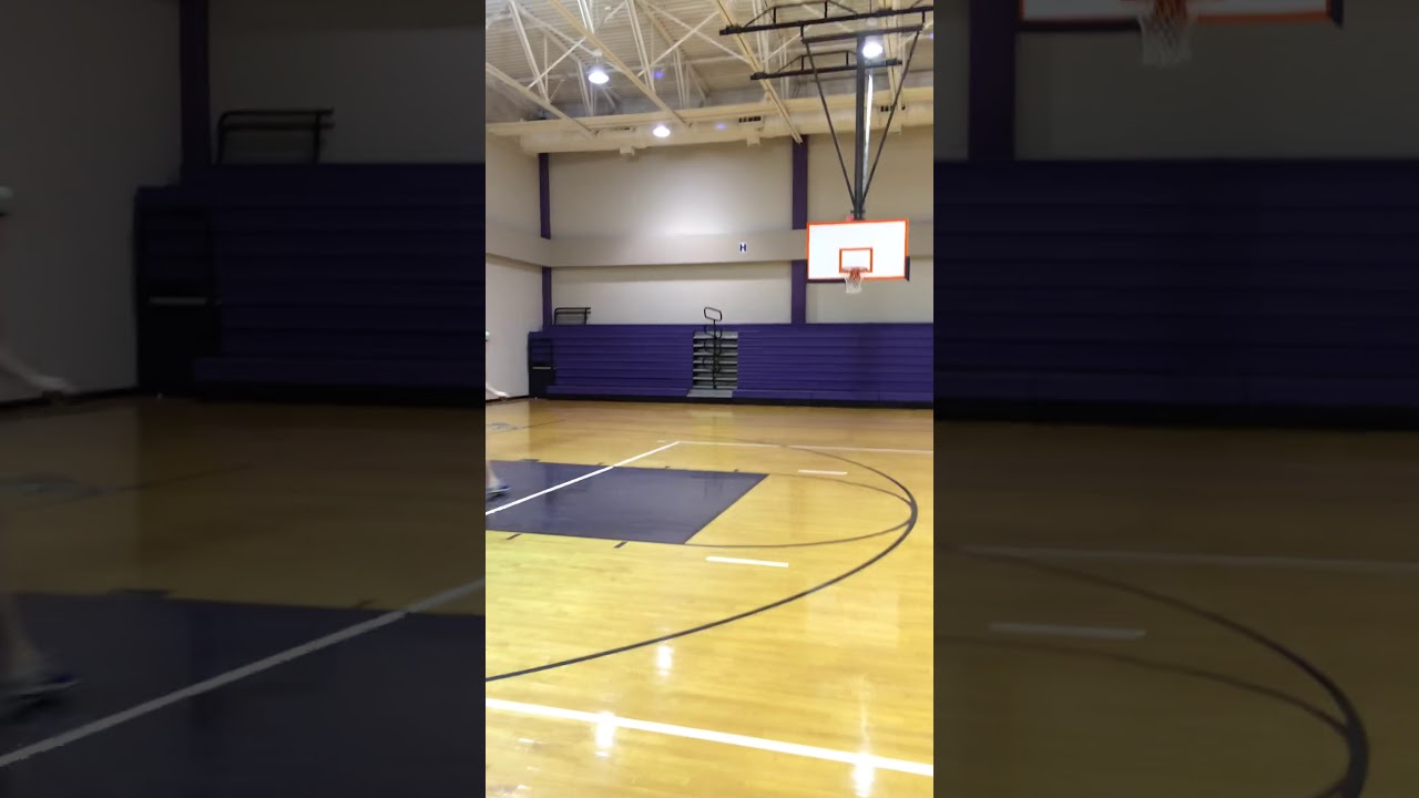 Netting a bat in a gym - YouTube