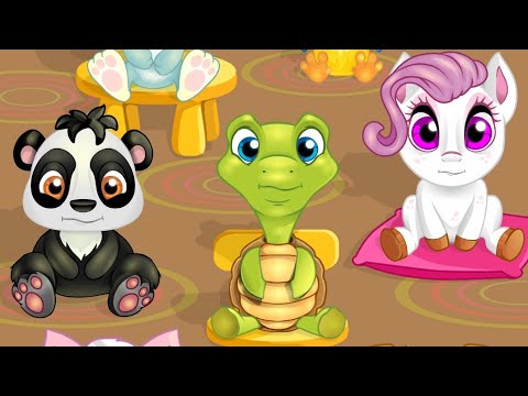 Pet Wash FM By Bubadu Episode 02 - YouTube