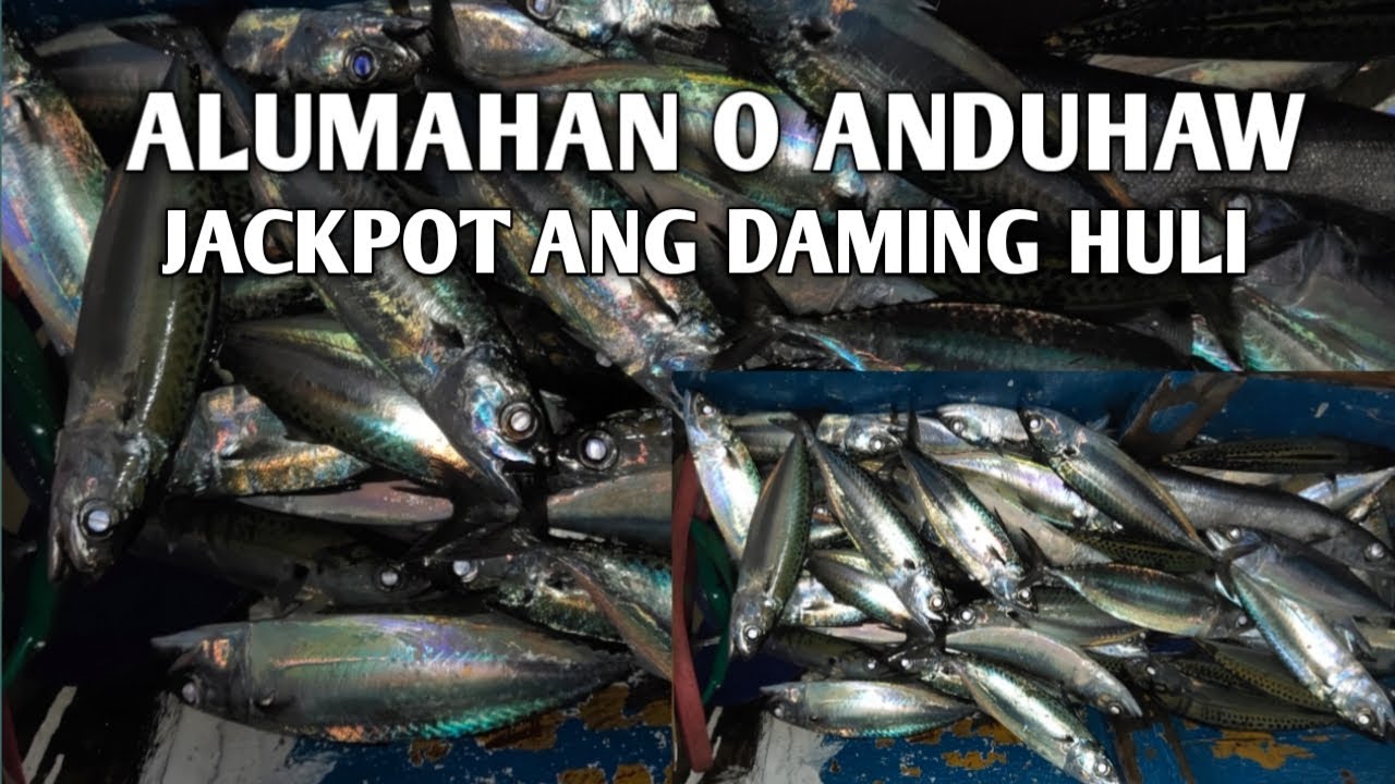 NIGHT FISHING 2 | PAMO | ALUMAHAN O SINGI 🐟🐟 @ Pinamungajan Cebu - YouTube