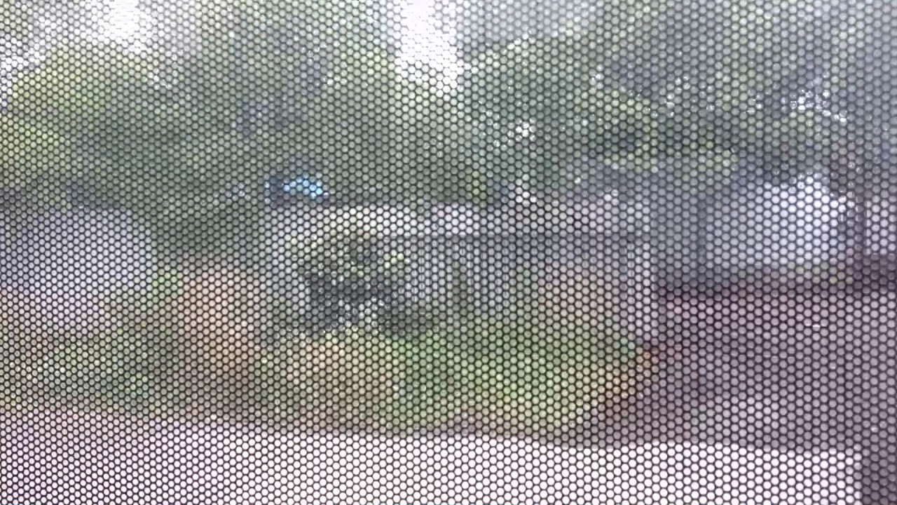 perforated window graphics (One way vision) - YouTube