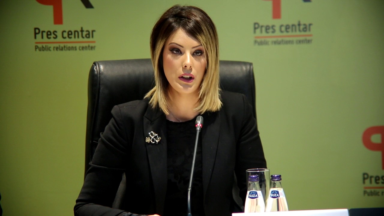 Ana NOVAKOVIĆ Izvršna direktorka CRNVO - YouTube