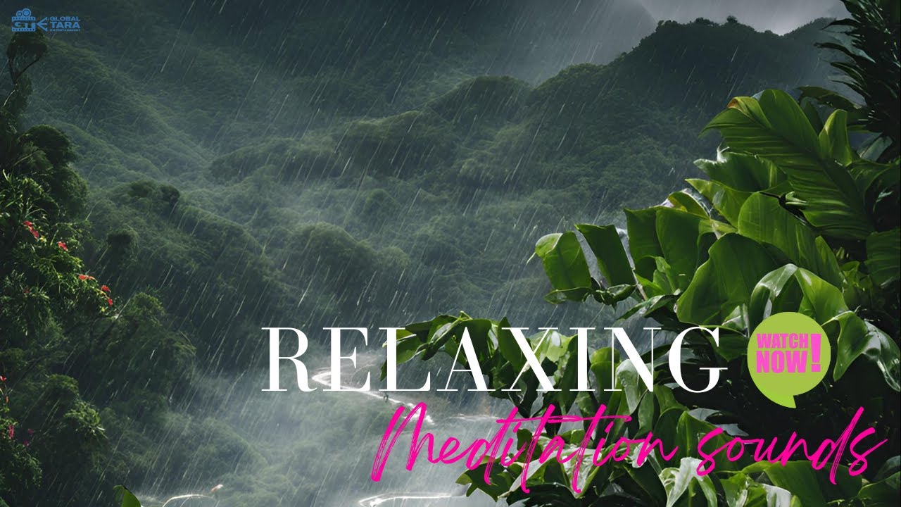 60 min Music Therapy (Depression, Insomnia and Anxiety) - Tropical ...