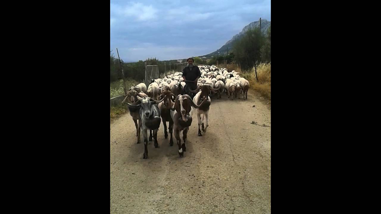 Ο μπεης με τη στανη του - YouTube