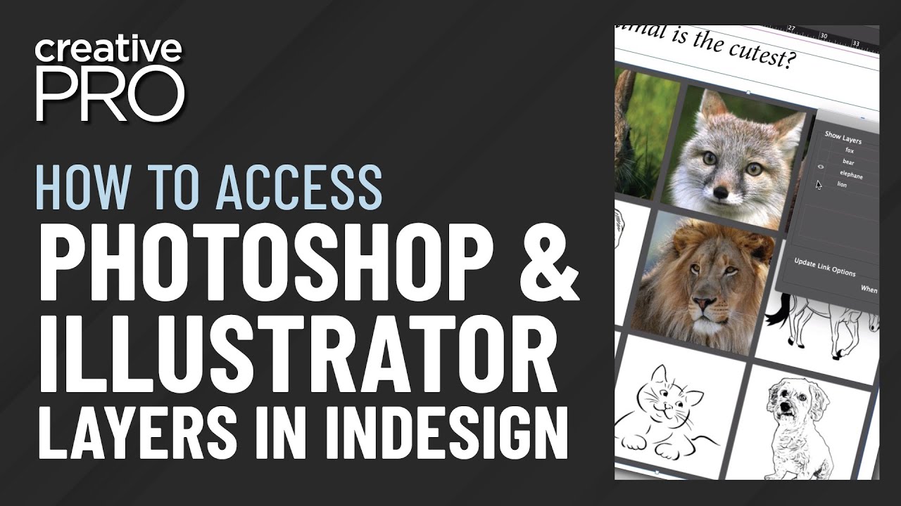 InDesign: How to Access Photoshop and Illustrator Layers (Video ...