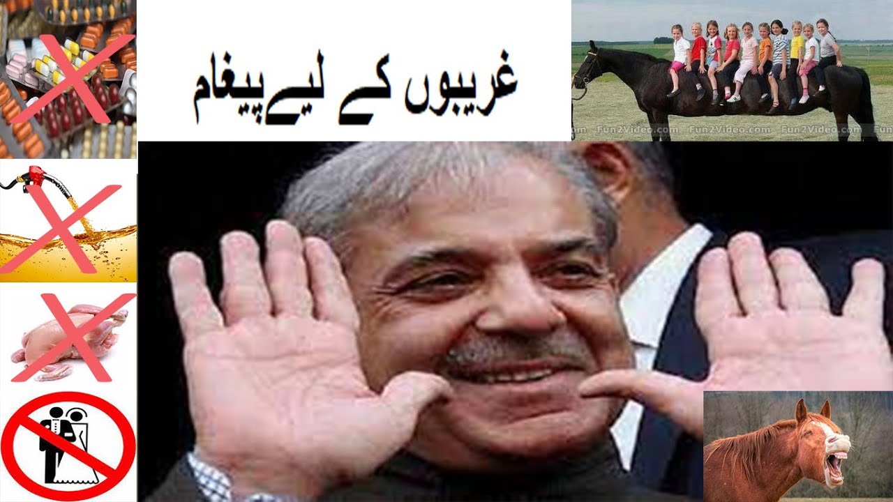 mehengai pr Shehbaz Sharif ka pegham|funny price increase in pakistan ...