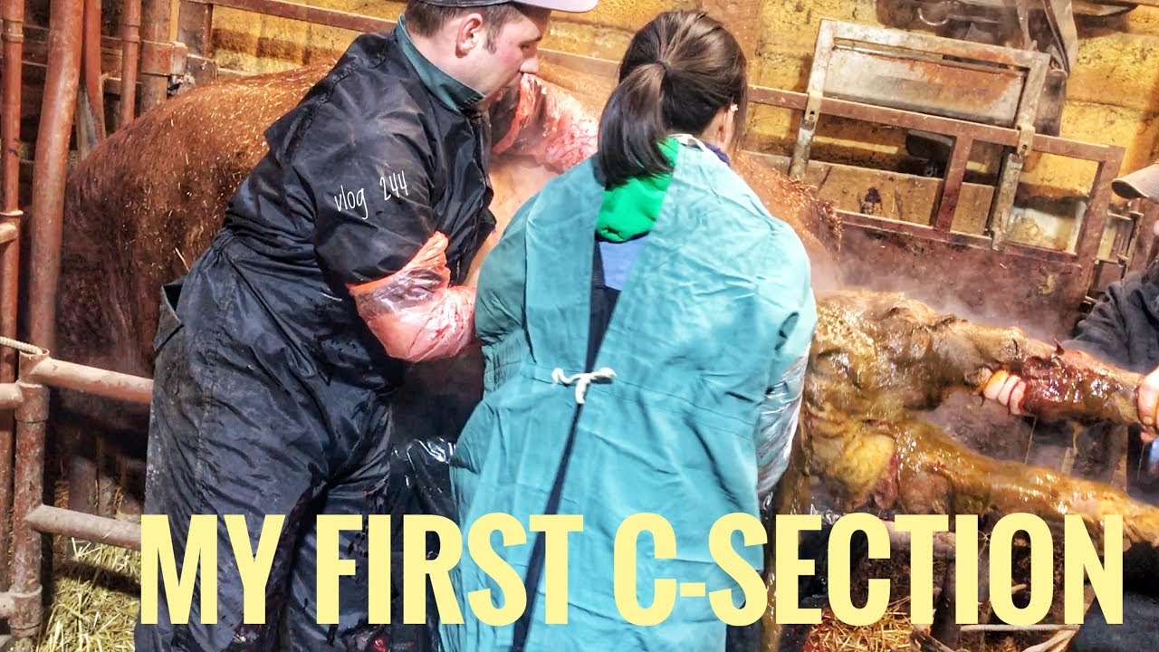 MY FIRST C-SECTION vlog 244 - YouTube