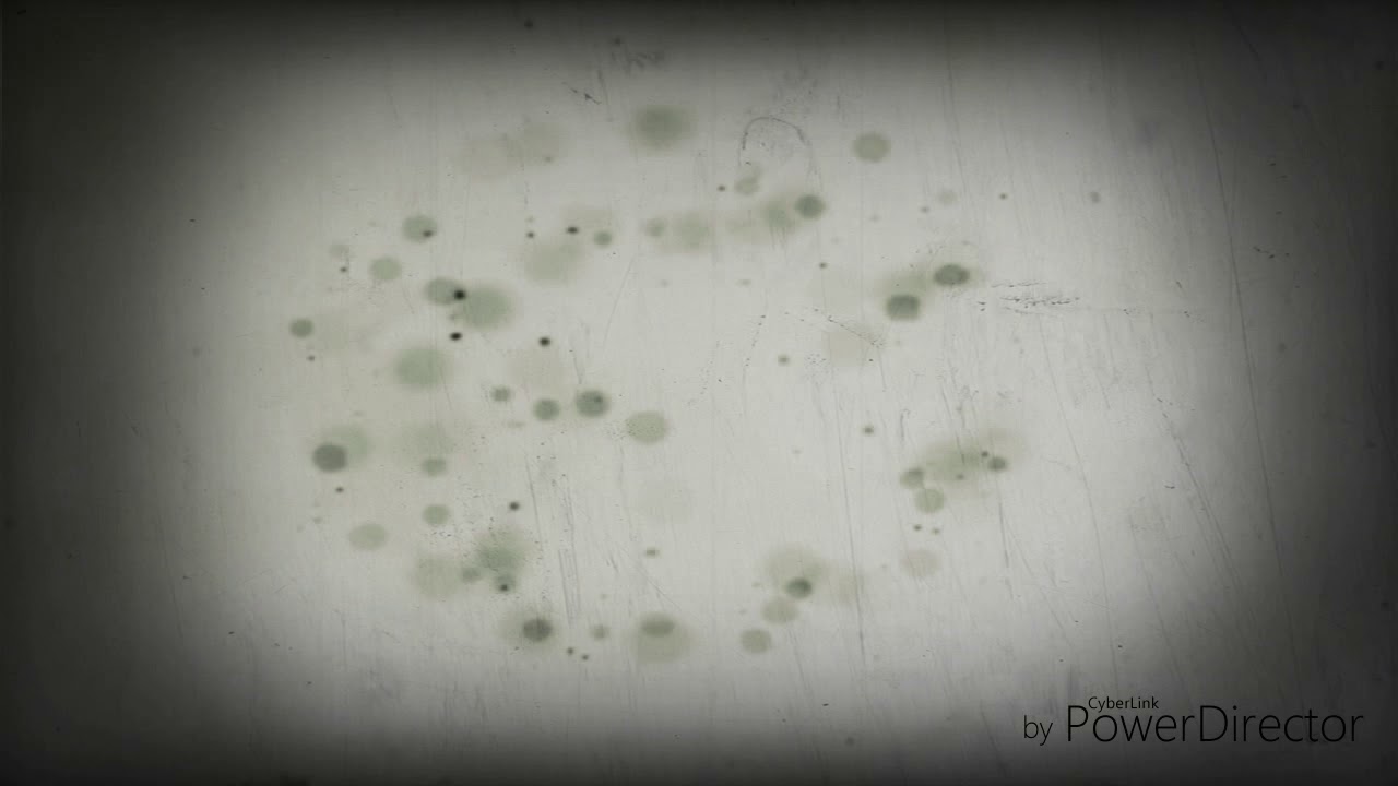 I & own cigrate - YouTube