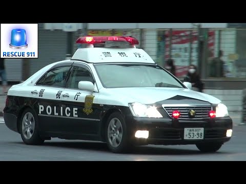 Tokyo Police (collection) - YouTube