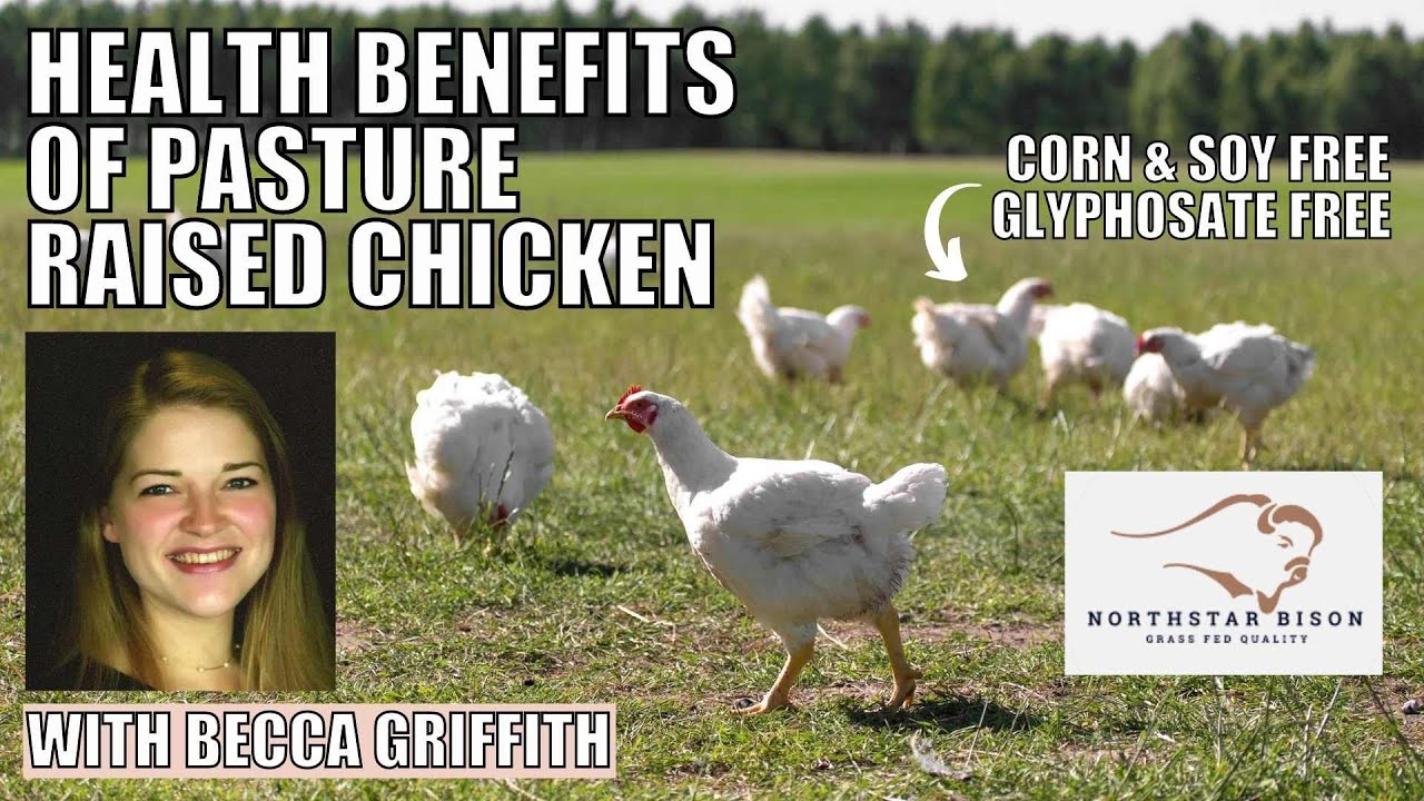 The HEALTH BENEFITS of Pasture-Raised Chicken // Interview With Becca ...