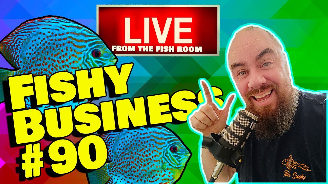 Live from the fish room! - Fishy Business #90 - YouTube