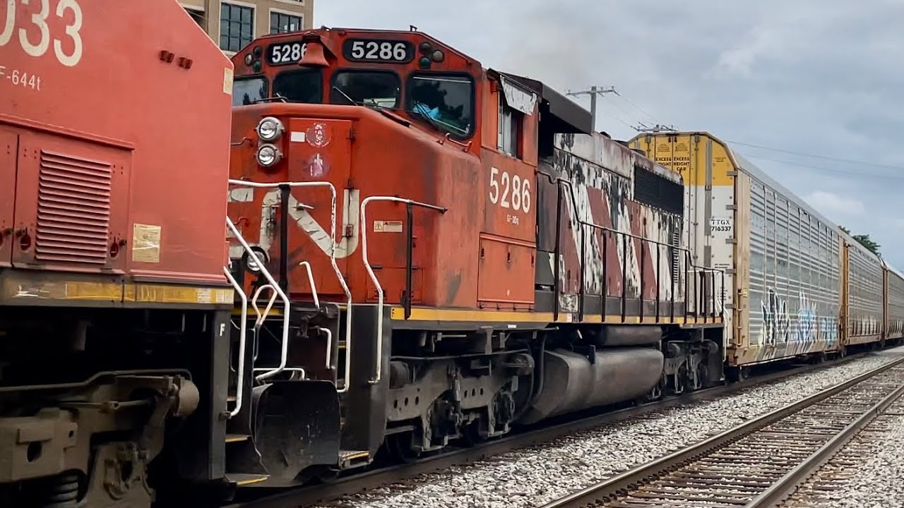 Back to the 2000’s! CN Zebra Paint Trails on CN E251 - YouTube