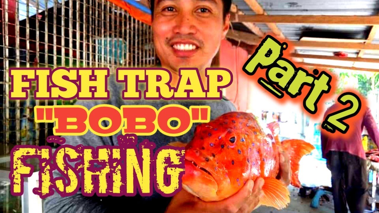 Fish Trap "Bobo" Fishing || Part 2 - YouTube