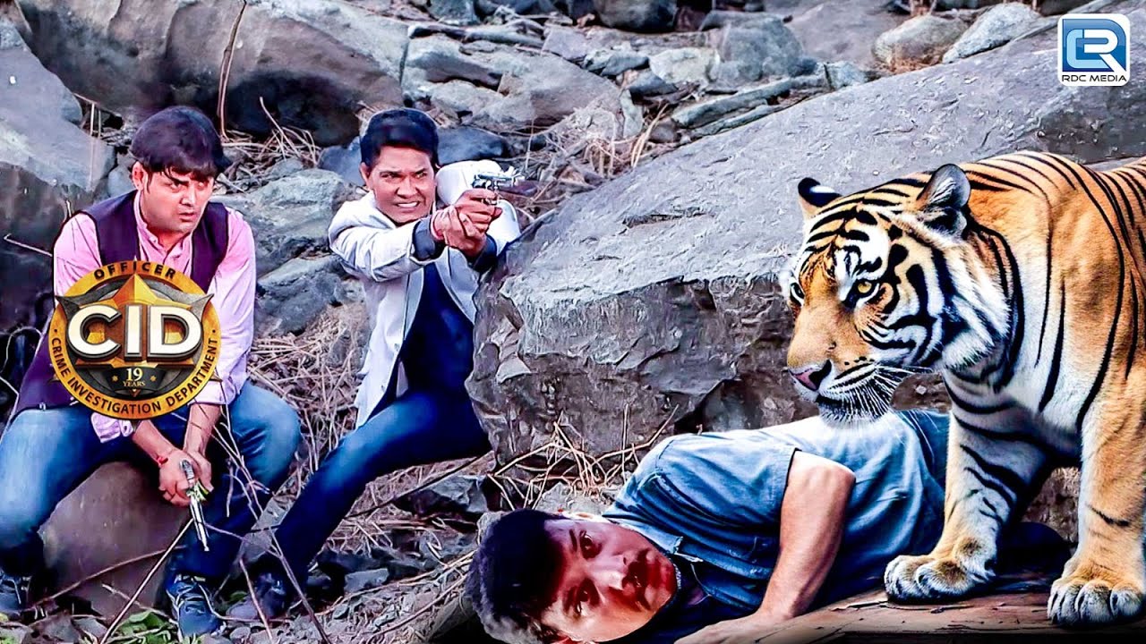 Officer Abhijeet और Frederick क्या बचा पाएंगे Daya को बब्बर बाघ से ...