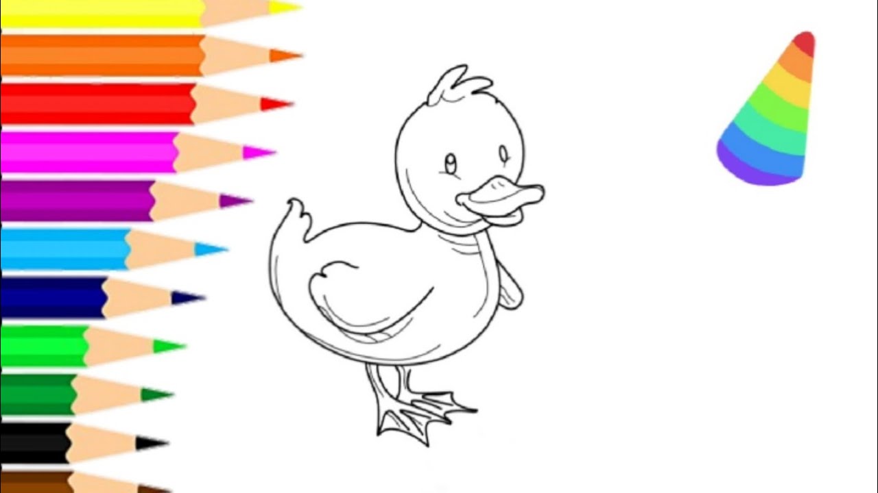 How To Draw A Duck |Easy Drawings Duck | Bird Drawing Pencil - YouTube
