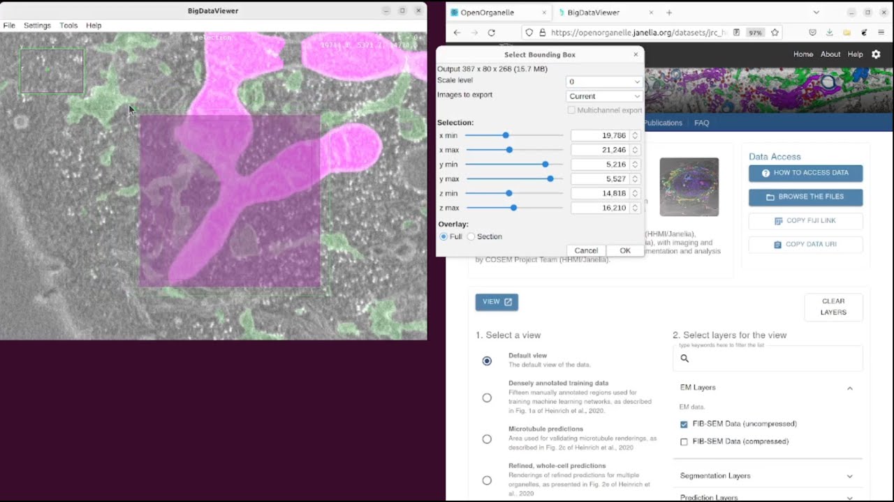 N5 Fiji Plugins: N5 Viewer & OpenOrganelle - YouTube