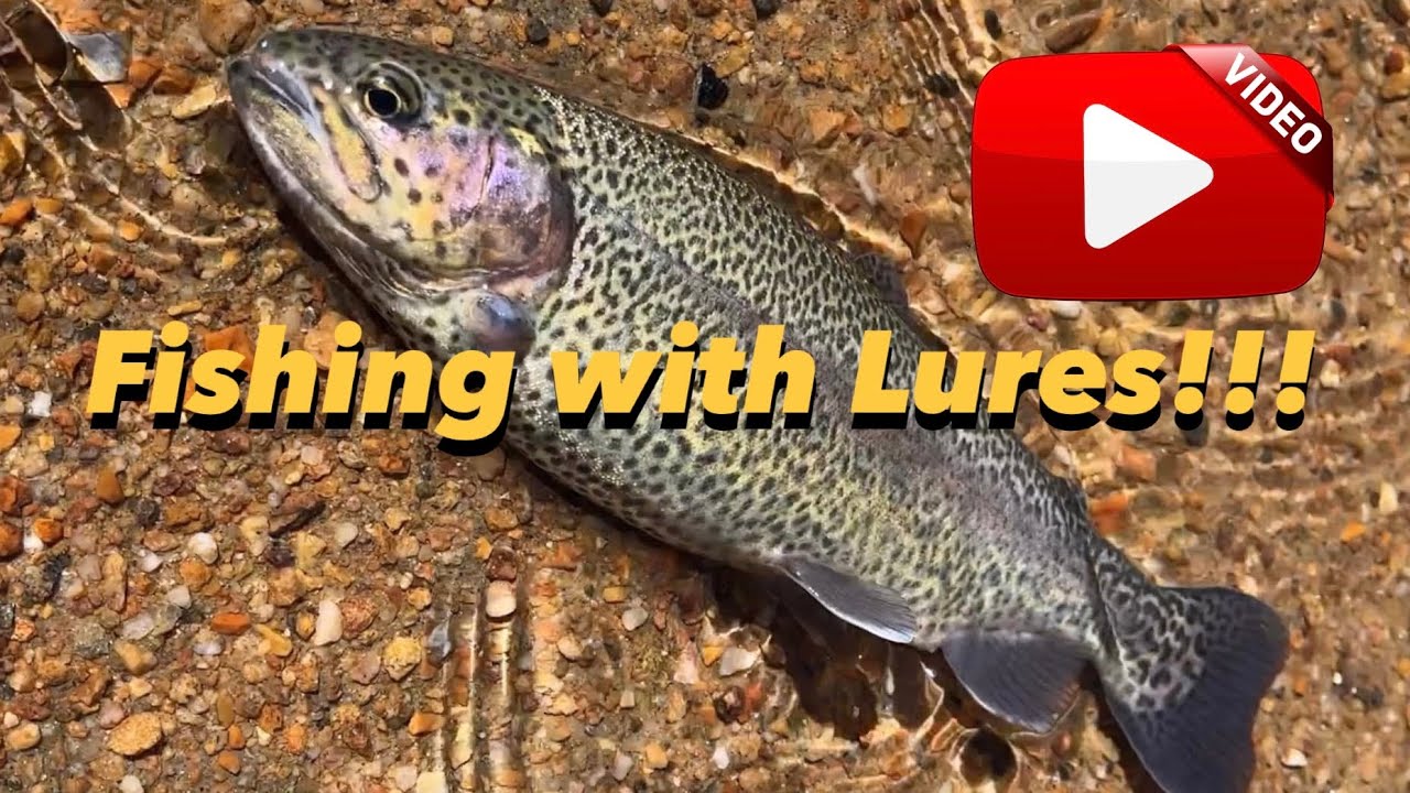 Fishing with Lures at Georgetown Lake in Georgetown, Colorado - YouTube