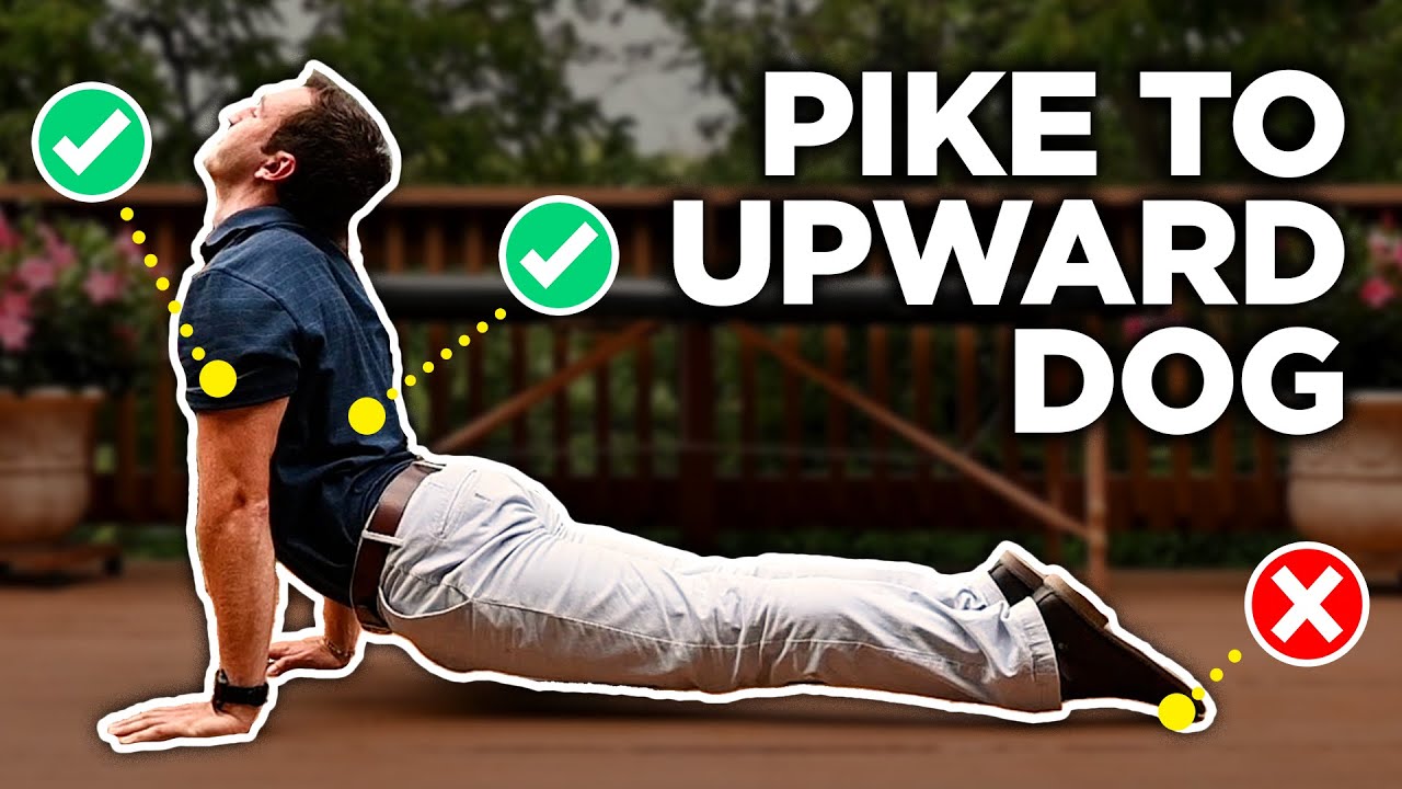 How To Flow Through A Pike To Upward Dog Position I Beginners Guide ...