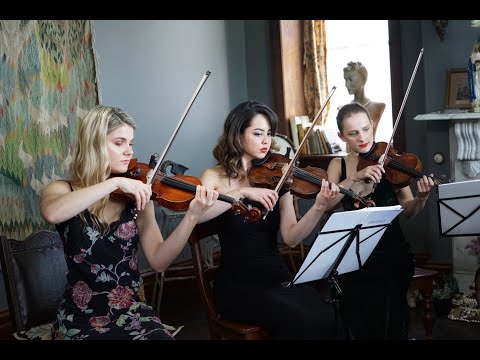 Alcina Dances - Handel - Stringspace Orchestra