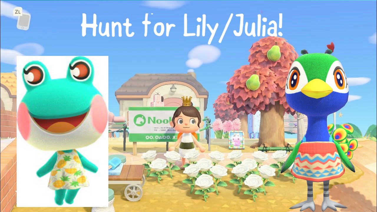 Hunt for Lily/Julia! Animal Crossing New Horizons - YouTube