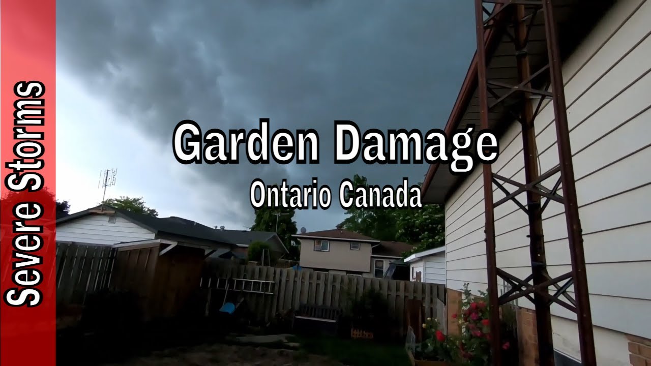 Major Storm and Urban Garden Damage - YouTube