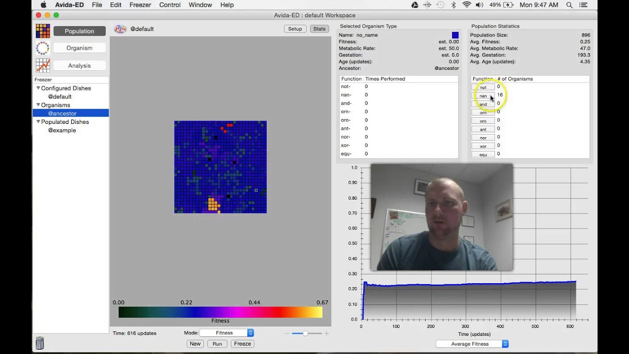 Avida-ED - Introduction - YouTube
