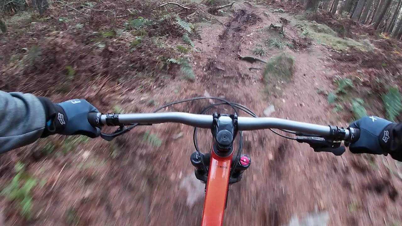 Kirkhill forest, fallen tree trail - YouTube