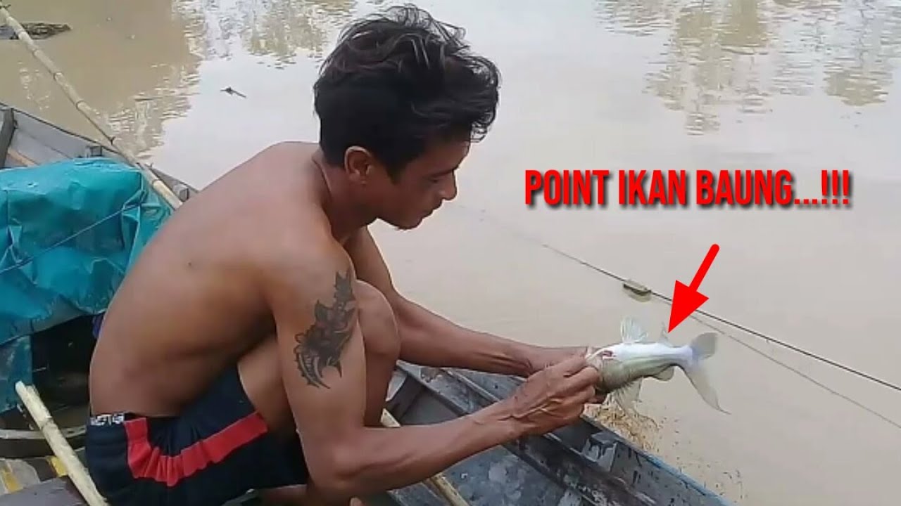 Menjaring ikan.......!!!!! - YouTube