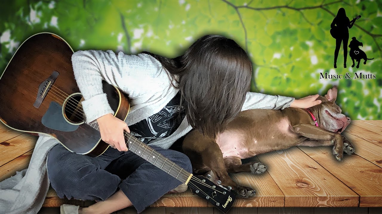 Music & Mutts | Playing Guitar For Nala - YouTube