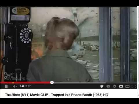 Scene Analysis from The Birds- Intro. to Film - YouTube