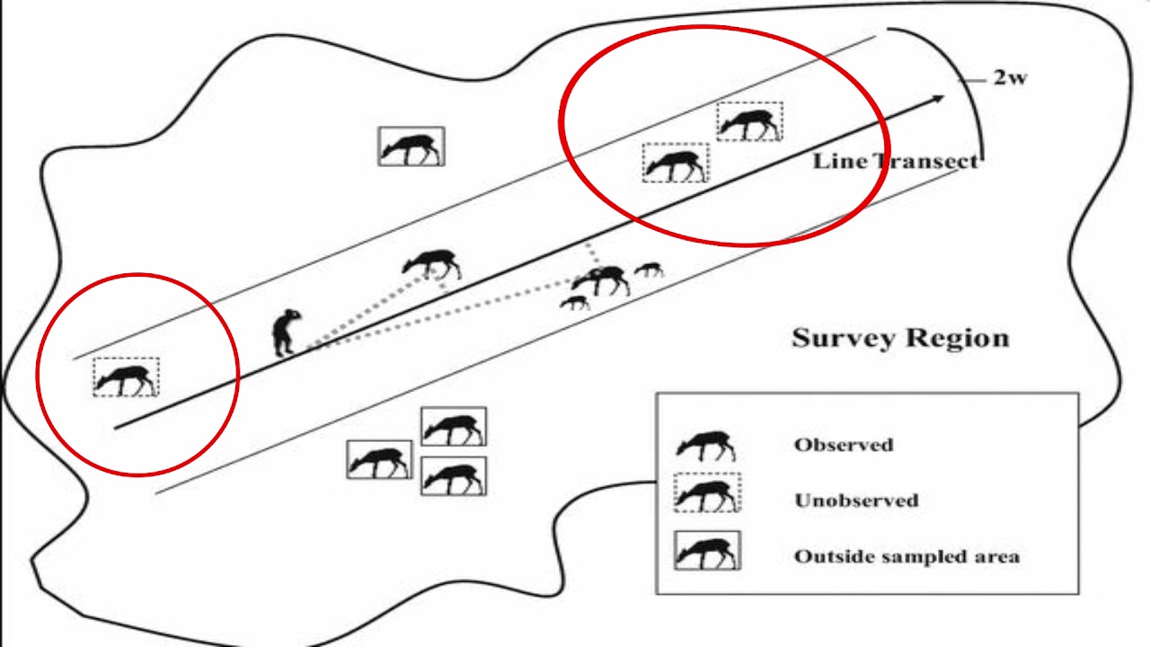 Part 1 of Sampling techniques for estimation of insect population and ...