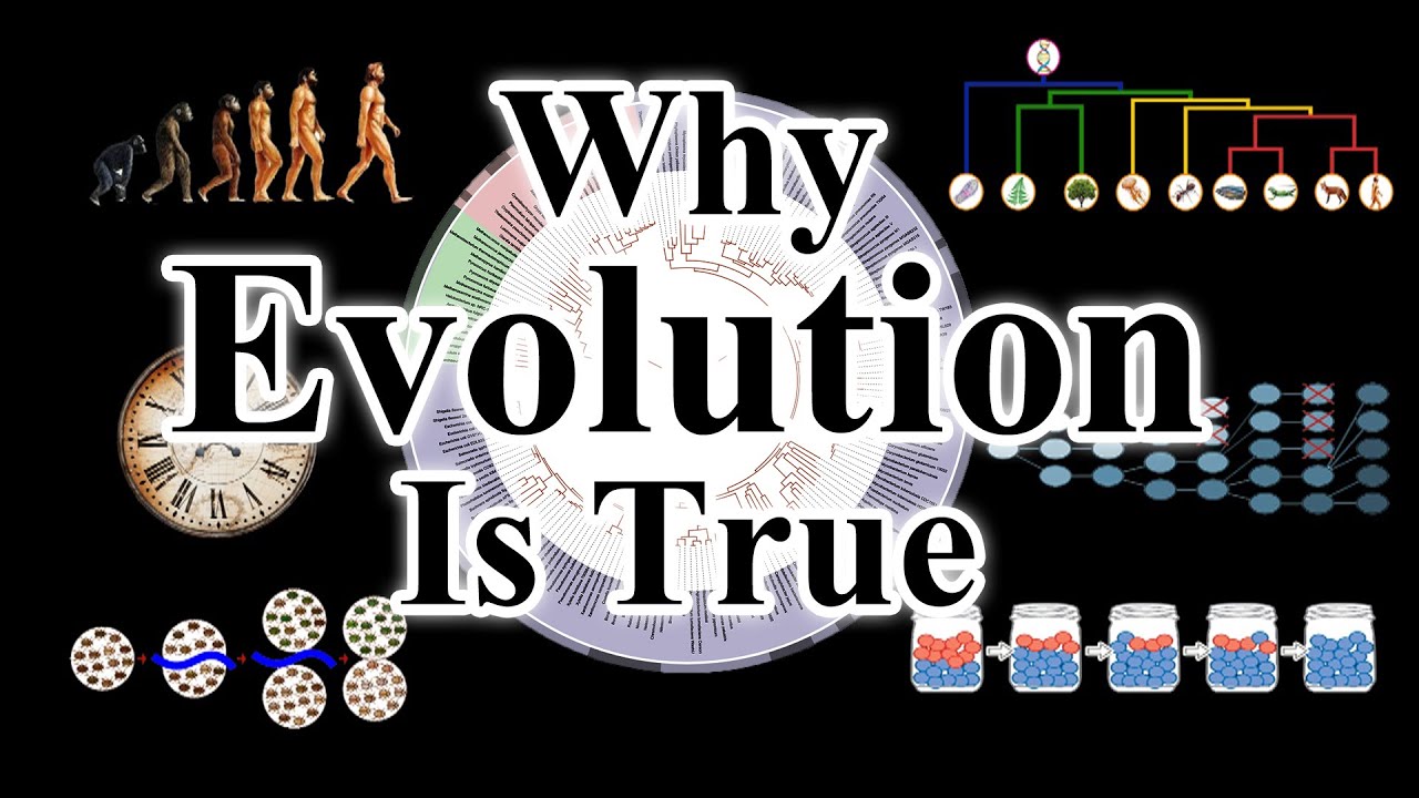 Why Evolution is True - Part 1 (Old Upload, No Music) - YouTube
